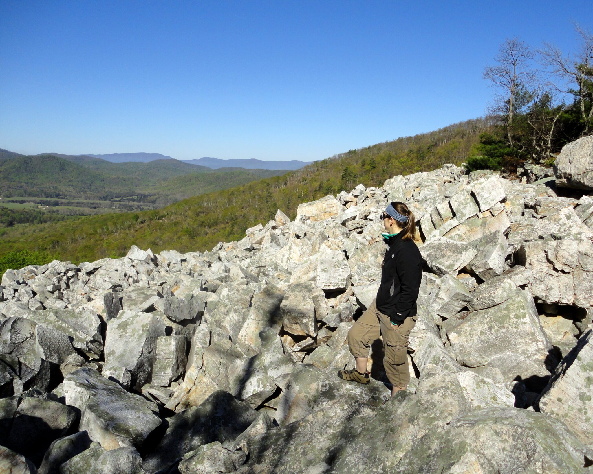 Outdoor Adventures: Hiking & Natural Wonders - Shenandoah Beerwerks Trail